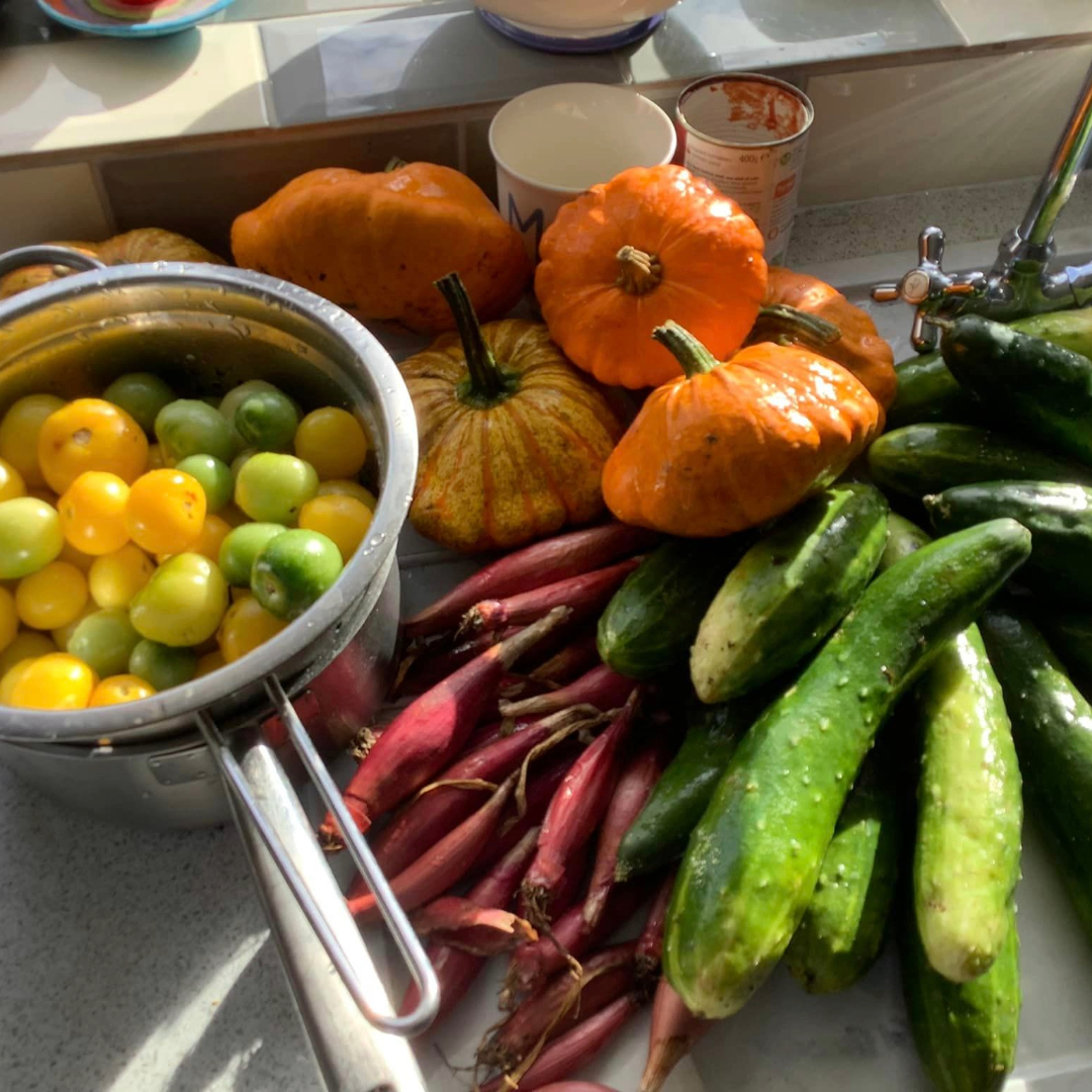 Feeding bellies not Bins . . . The story of how we saved food from ...
